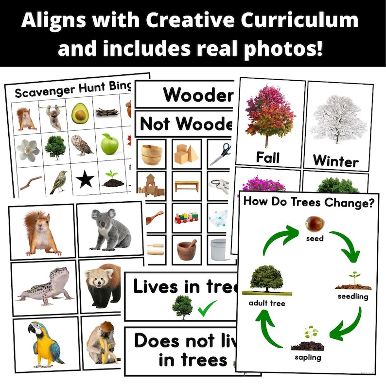 Trees Study Bundle Creative Curriculum - Digital Download - Etsy