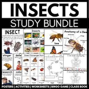 Insects Study Bundle Creative Curriculum - Etsy