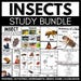 Insects Study Bundle Creative Curriculum - Etsy