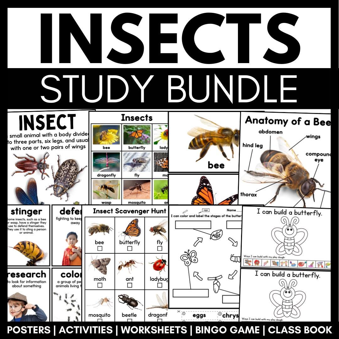 Insects Study Bundle Creative Curriculum - Etsy