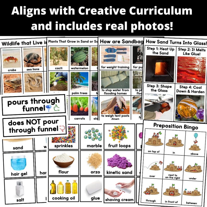 Creative Curriculum Sand Study - Etsy