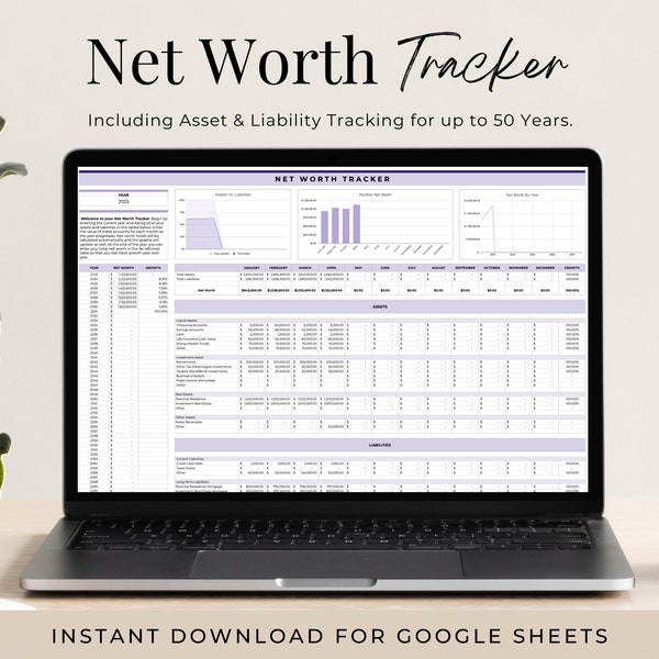 Networth Tracker Google Sheets - Etsy