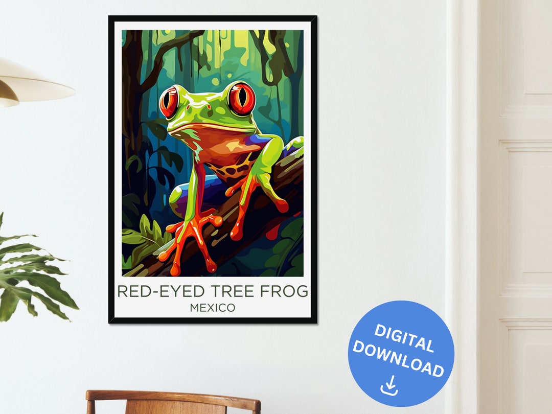 Red-eyed Tree Frog Animal Digital Download Wall Art Zookeeper Jungle ...