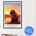 Baboon Animal Digital Download Wall Art Monkey Tanzania Poster Home ...
