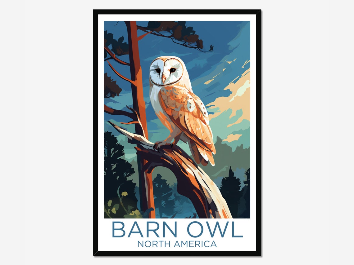 Barn Owl Animal Wall Art Bird Forest Eagle Poster Home Decor Hawk ...