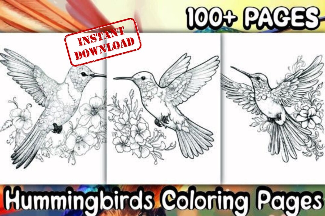 100 Hummingbirds Coloring Pages for Adults and Children/digital ...