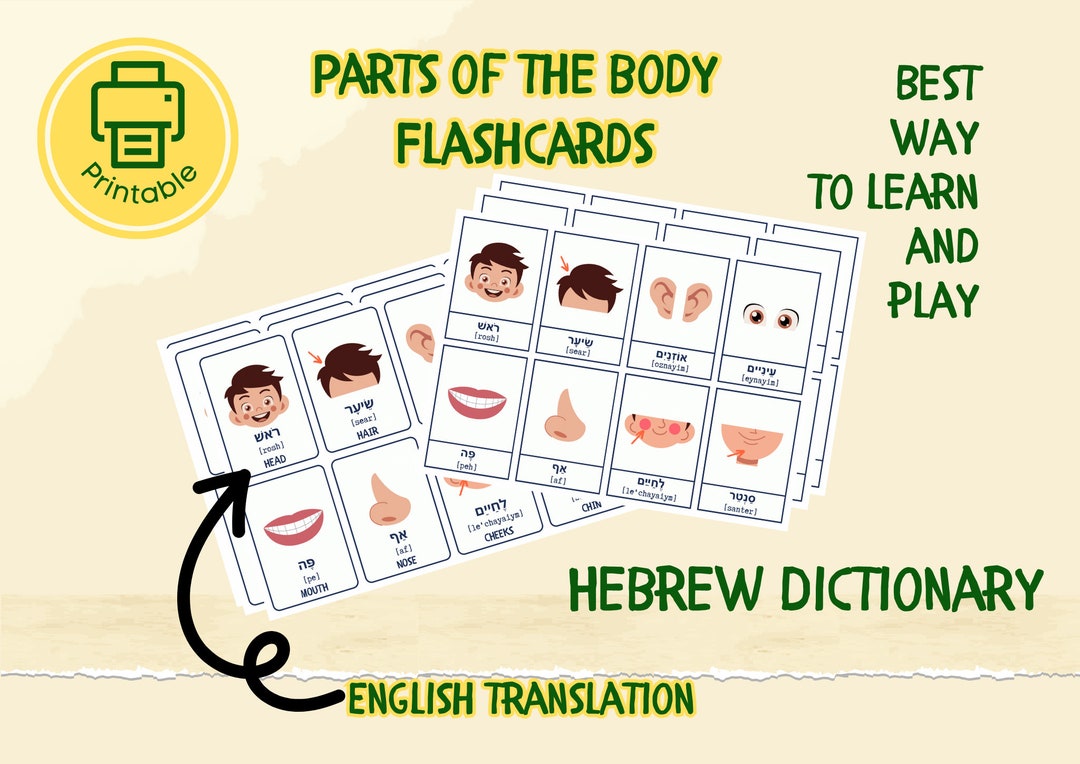 Hebrew Body Parts Flashcards: English-hebrew Learning (digital Download ...