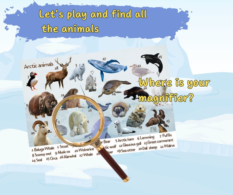 Arctic Animals Flashcards, Kids Flash Cards, Printable Montessori ...