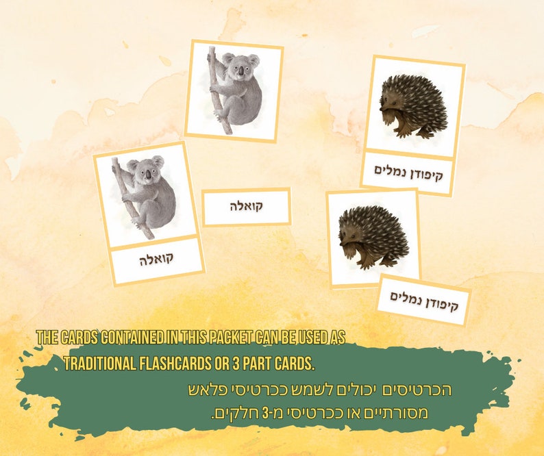 Australia Animals Flashcards, Kids Flash Cards, Printable Montessori ...