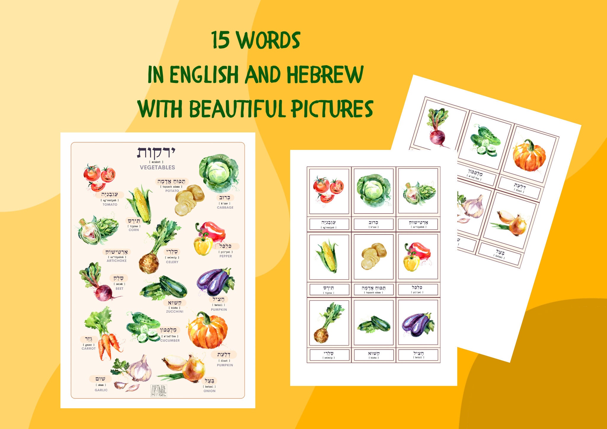 Vegetables Flash Cards, Digital Download Hebrew Vocabulary, Learn ...