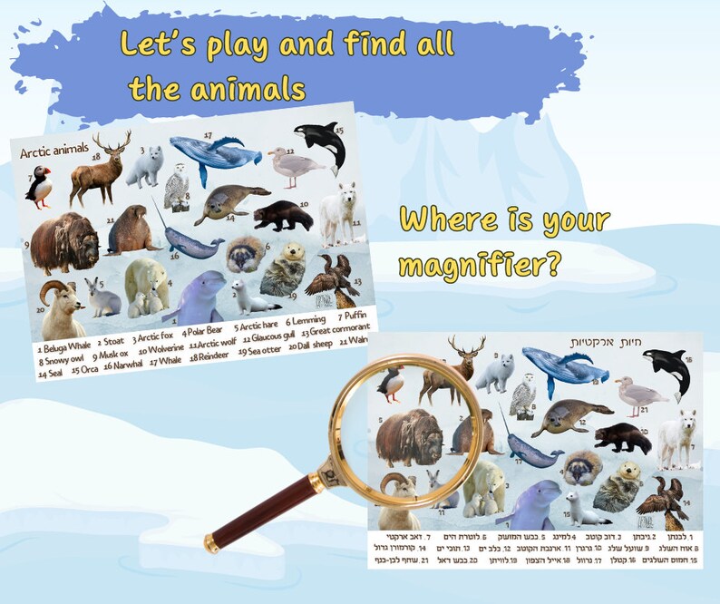 Arctic Animals Flashcards, Kids Flash Cards, Printable Montessori ...