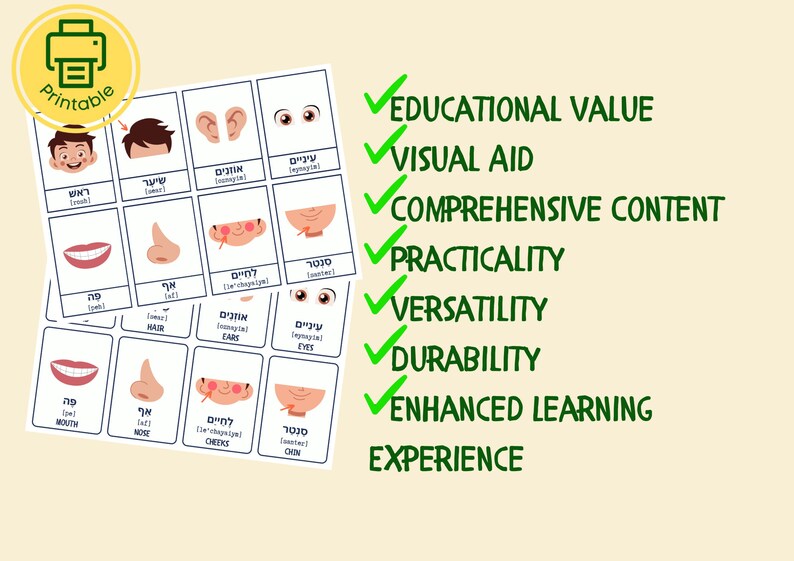 Hebrew Body Parts Flashcards: English-hebrew Learning (digital Download ...