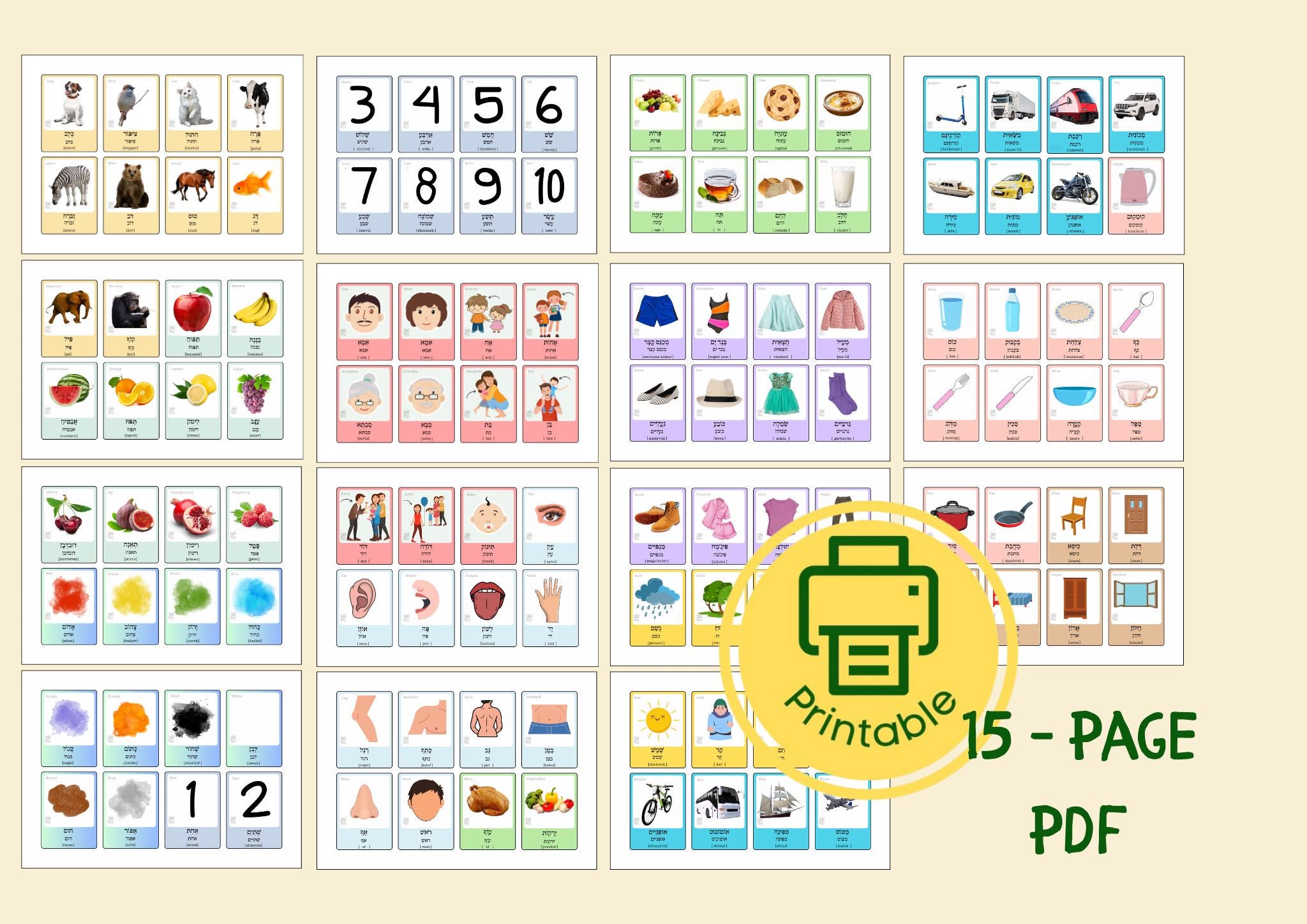 Hebrew Flash Cards | 120 Printable Cards | Hebrew Vocabulary | Learn ...
