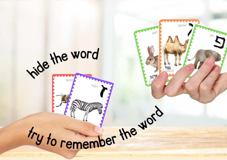 Animals Hebrew Alphabet Flash Cards: Fun Learning (digital Download) - Etsy