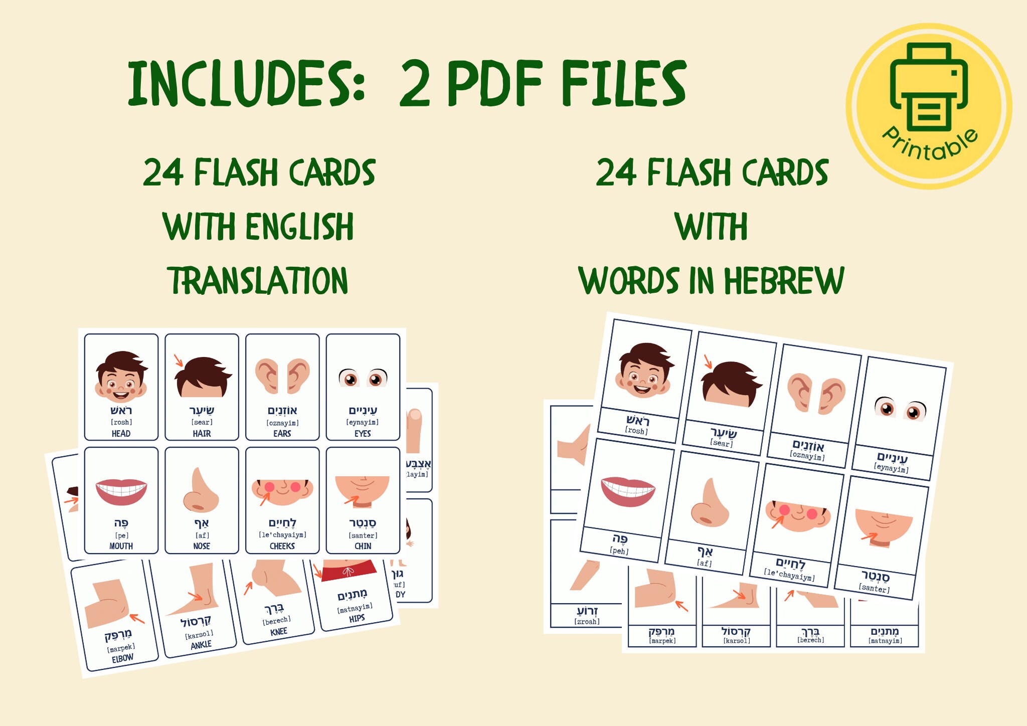 Hebrew Body Parts Flashcards: English-hebrew Learning (digital Download ...