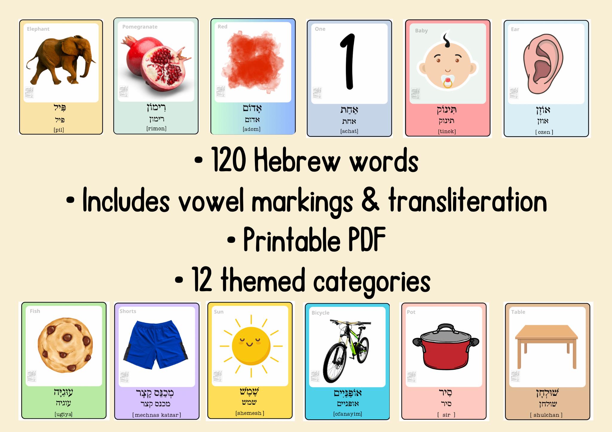 Hebrew Flash Cards | 120 Printable Cards | Hebrew Vocabulary | Learn ...