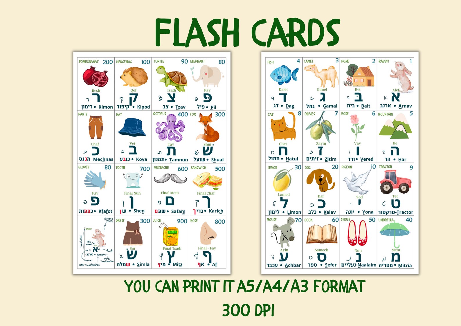 Digital Download Hebrew Letters Poster, Aleph Bet Pictures, Alphabet ...