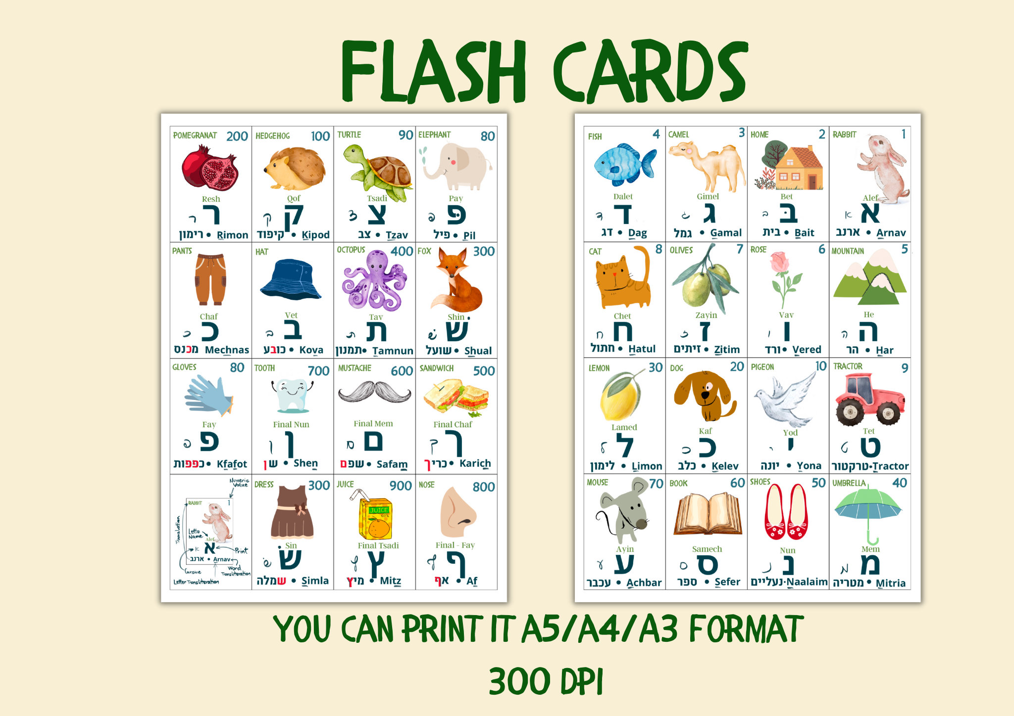 Digital Download Hebrew Letters Poster, Aleph Bet Pictures, Alphabet ...