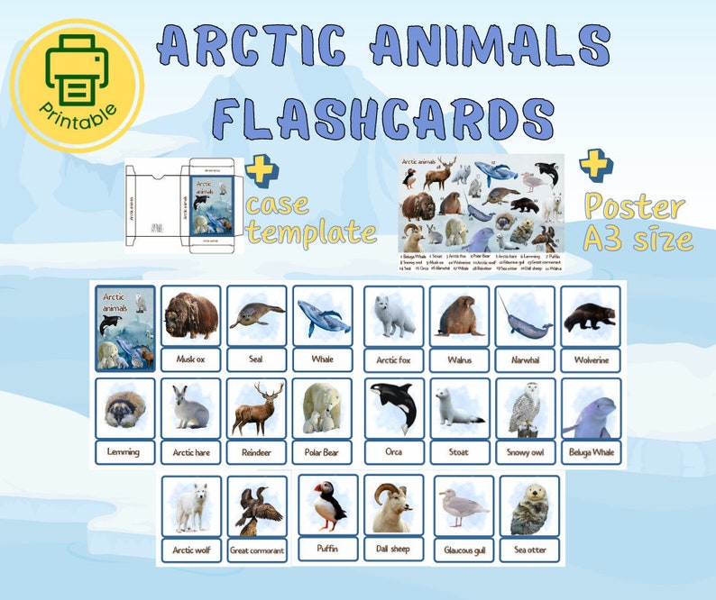 Arctic Animals Flashcards, Kids Flash Cards, Printable Montessori ...