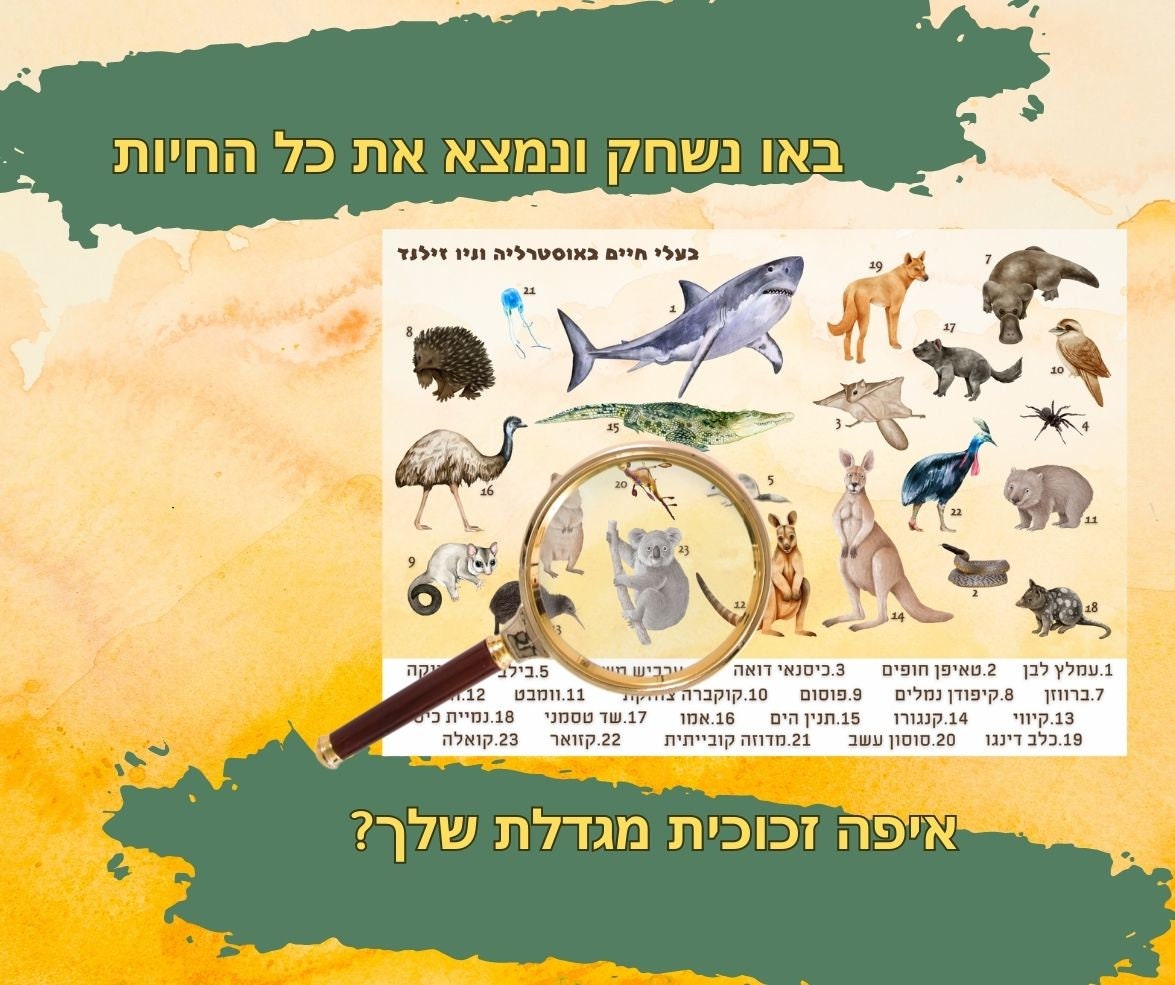 Australia Animals Flashcards, Kids Flash Cards, Printable Montessori ...