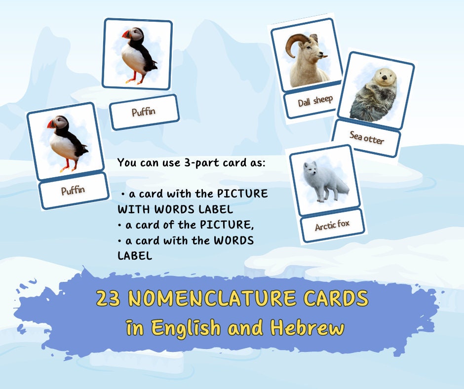 Arctic Animals Flashcards, Kids Flash Cards, Printable Montessori ...