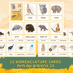 Australia Animals Flashcards, Kids Flash Cards, Printable Montessori ...