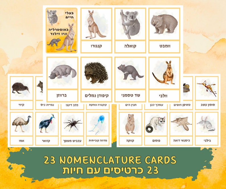 Australia Animals Flashcards, Kids Flash Cards, Printable Montessori ...
