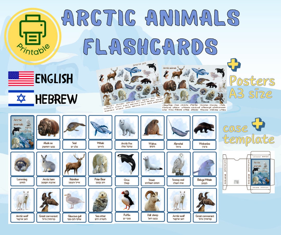 Arctic Animals Flashcards, Kids Flash Cards, Printable Montessori ...