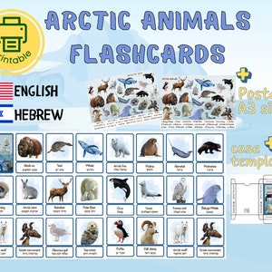 Arctic Animals Flashcards, Kids Flash Cards, Printable Montessori ...