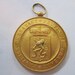 Vintage Agriculture Medal Brabant Belgium, Heraldry Shield Crest Lion ...