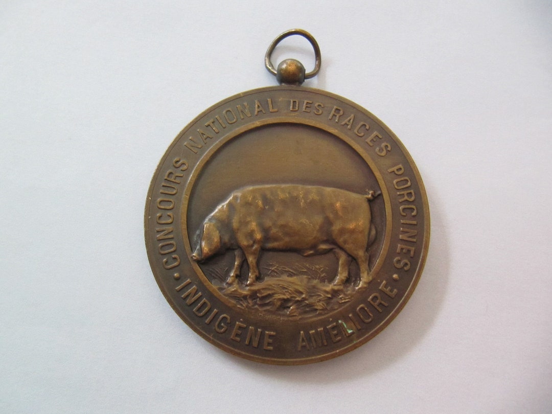 Bronze Medal PIG Hog Art Nouveau Lady W/ Long Horn, Liége Belgium 1930 ...