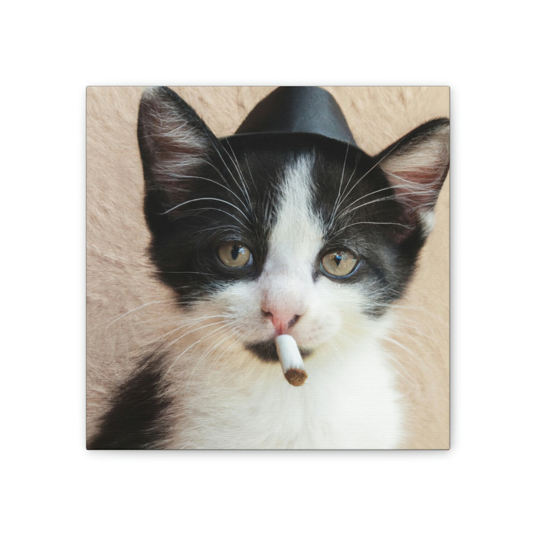 Black and White Cat, Smoking a Cigarette. - Etsy