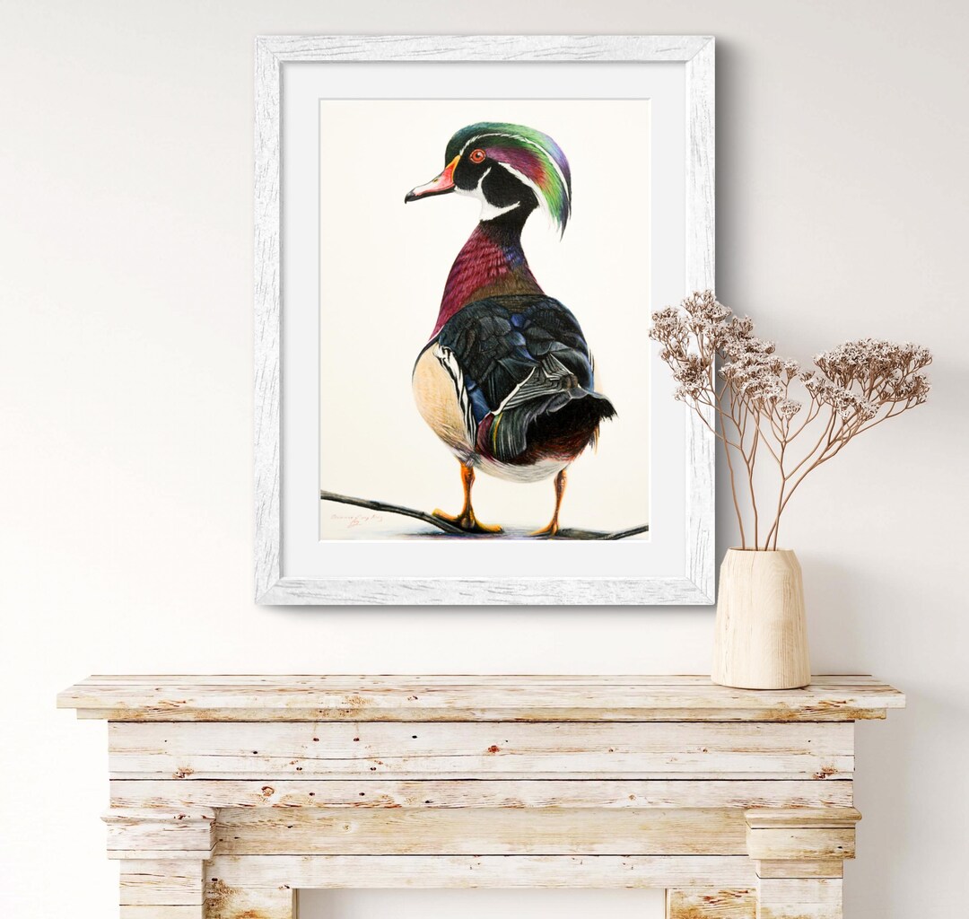 Beautiful Wood Duck Colored Pencil Drawing Paper Print Giclée Print ...