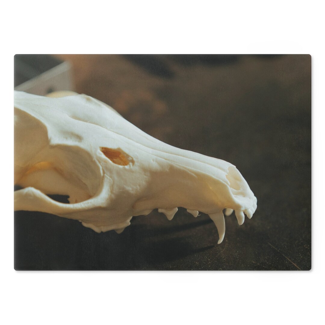 Cutting Board Sharp Tooth Skull - Etsy