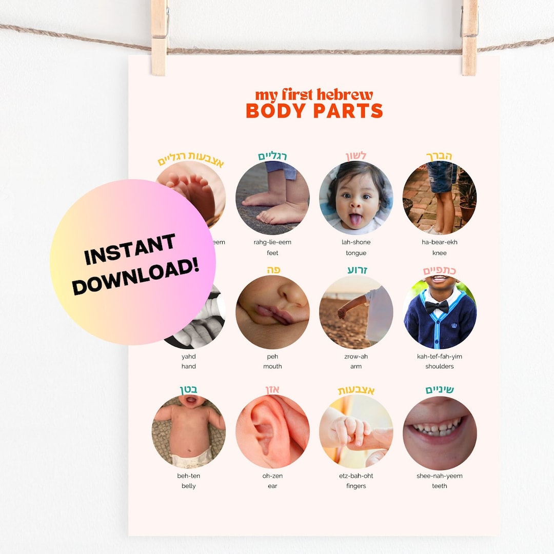 Hebrew Body Parts Printable Poster - INSTANT DOWNLOAD - Etsy