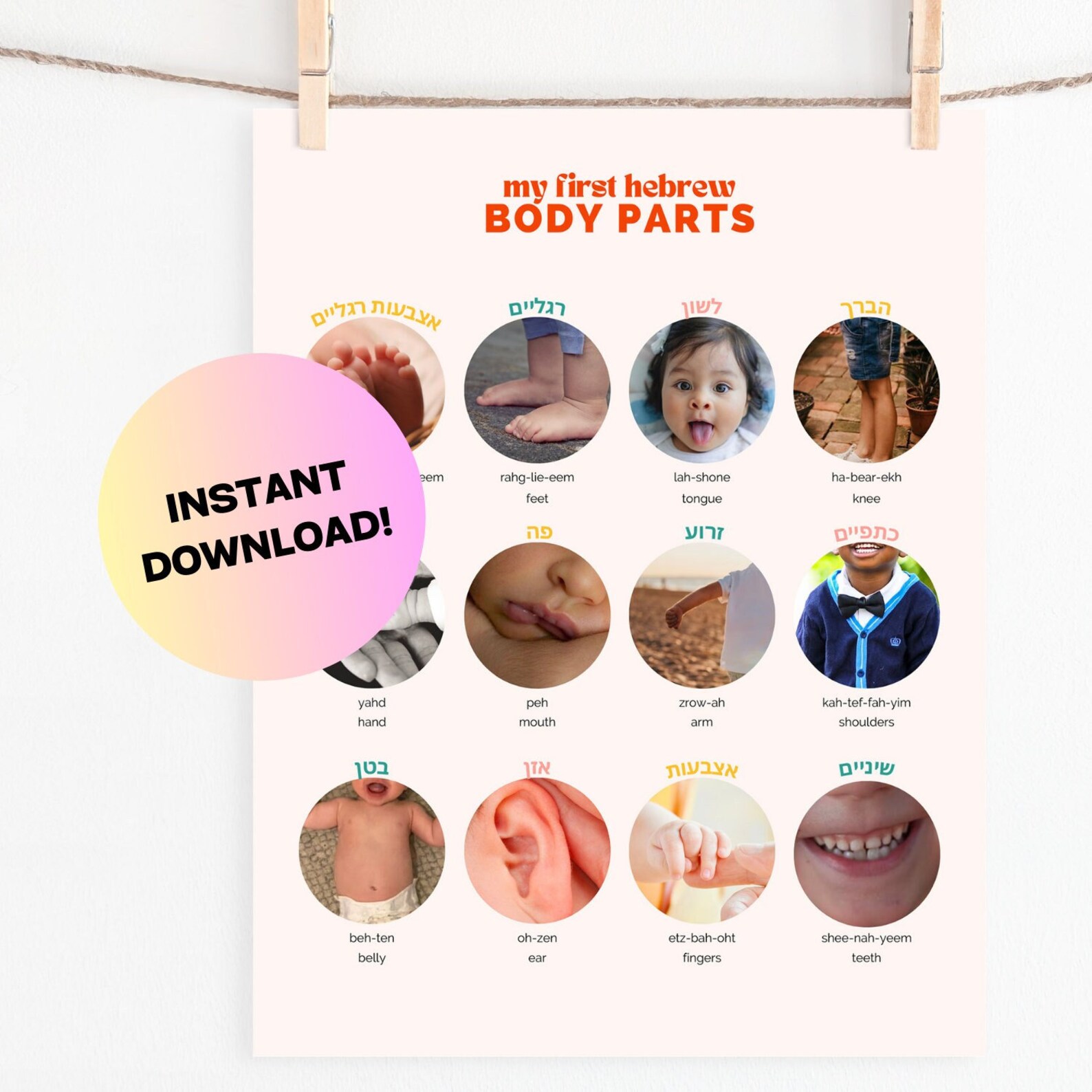 Hebrew Body Parts Printable Poster - INSTANT DOWNLOAD - Etsy
