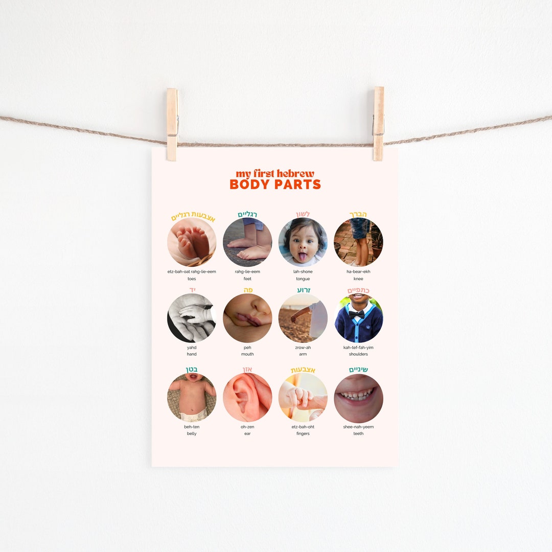 Hebrew Body Parts Printable Poster INSTANT DOWNLOAD - Etsy