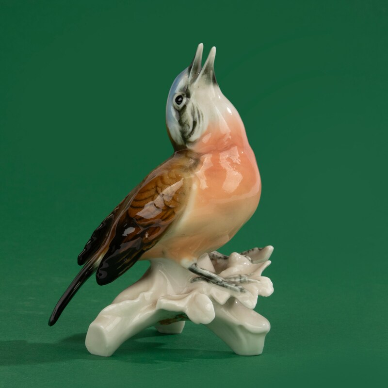 Oiseau karl ens vintage - Etsy France