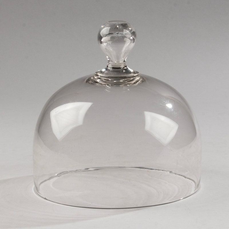 Glass Cloche - Etsy
