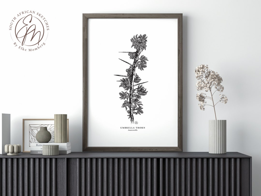 Umbrella Thorn Tree Branch Botanical Wall Art, Modern Black and White ...