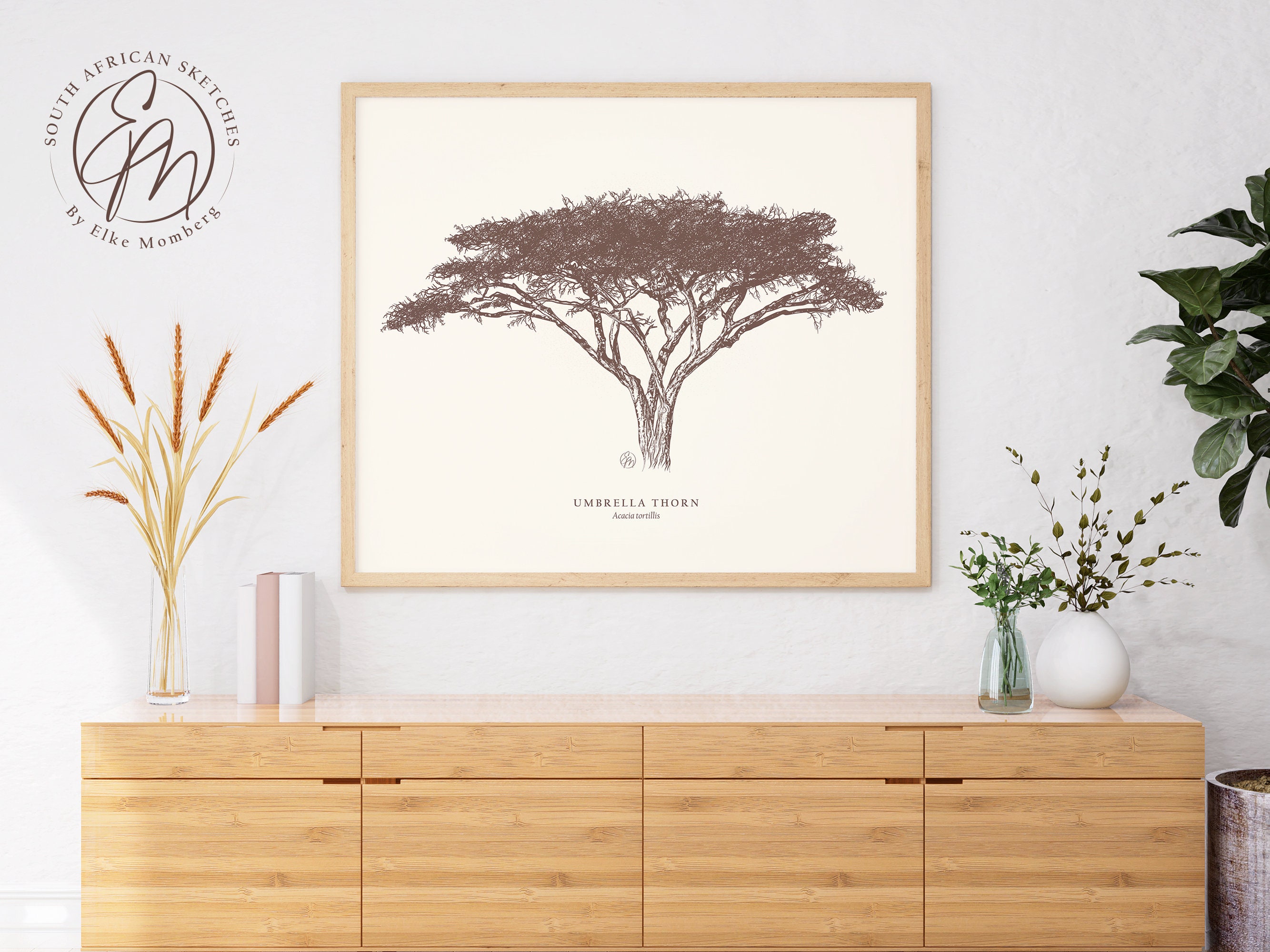 Umbrella Thorn Tree Botanical Wall Art, Vintage Style Digital Drawing ...