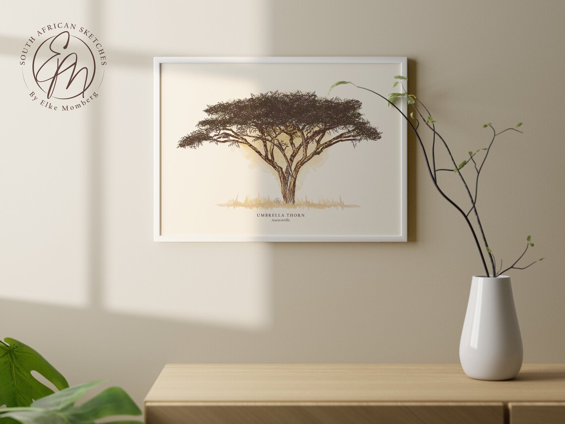 Umbrella Thorn Tree Botanical Wall Art, Watercolor Style Digital ...