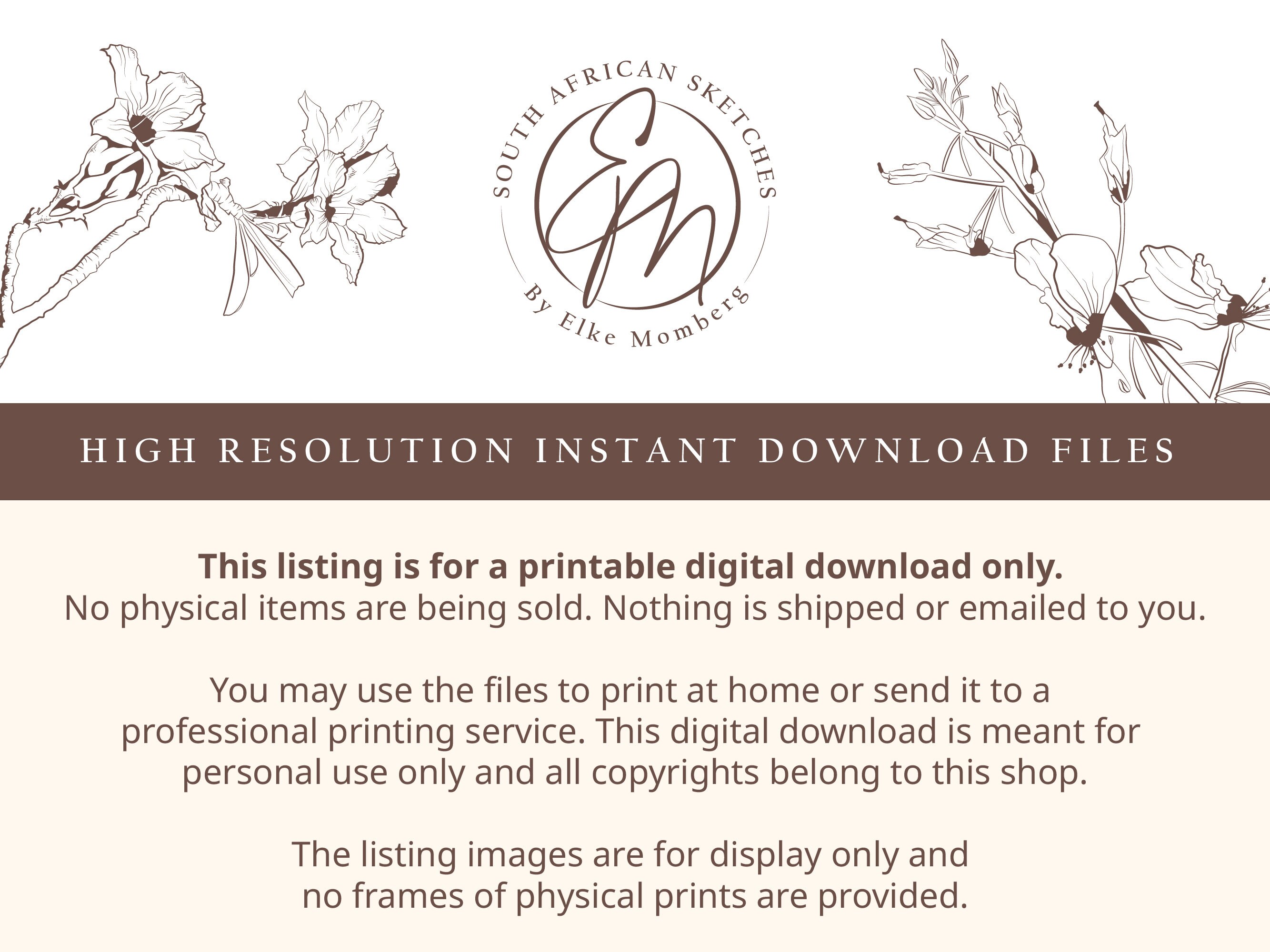 Umbrella Thorn Tree Branch Botanical Wall Art, Vintage Style Digital ...