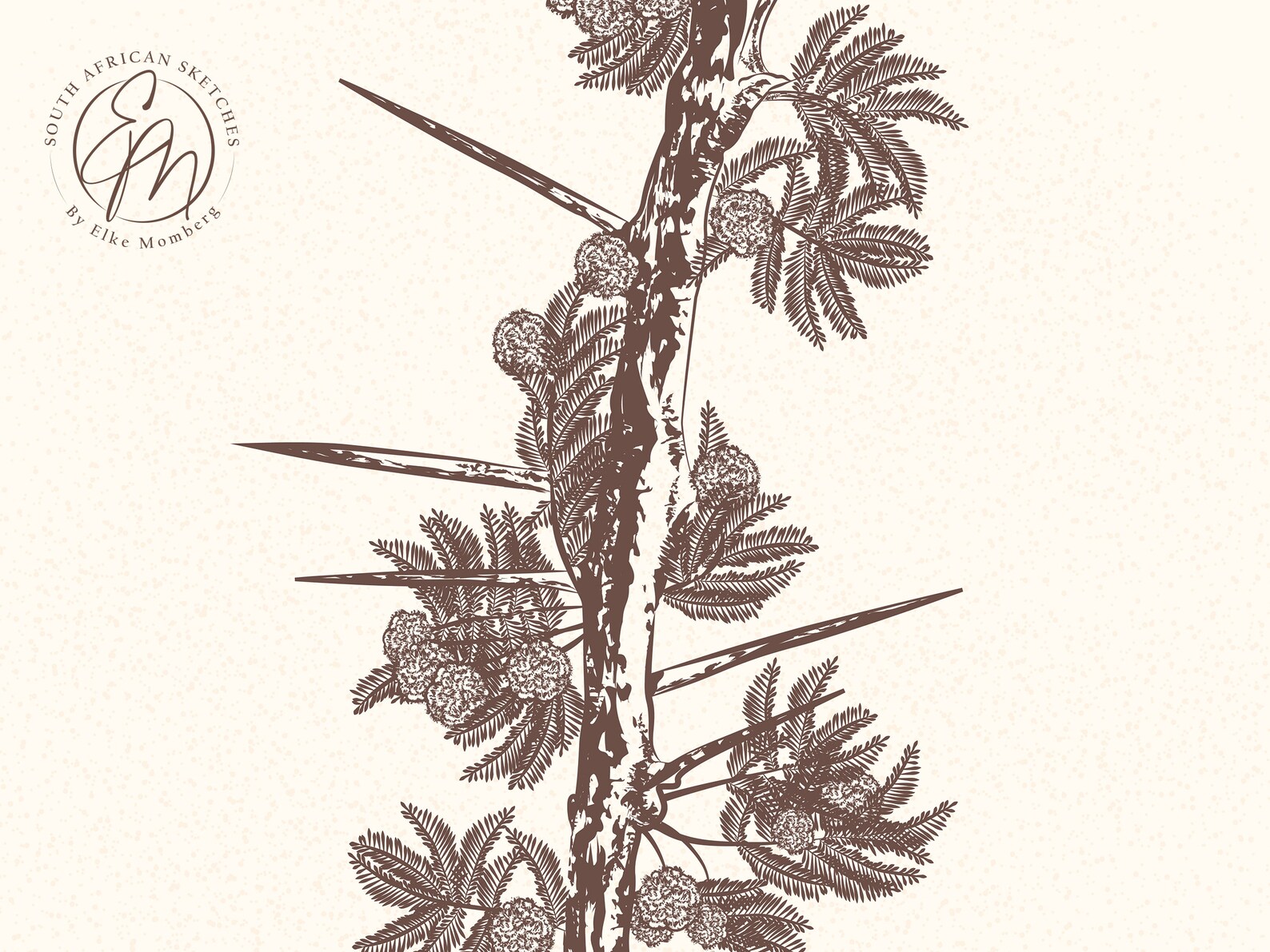 Umbrella Thorn Tree Branch Botanical Wall Art, Vintage Style Digital ...
