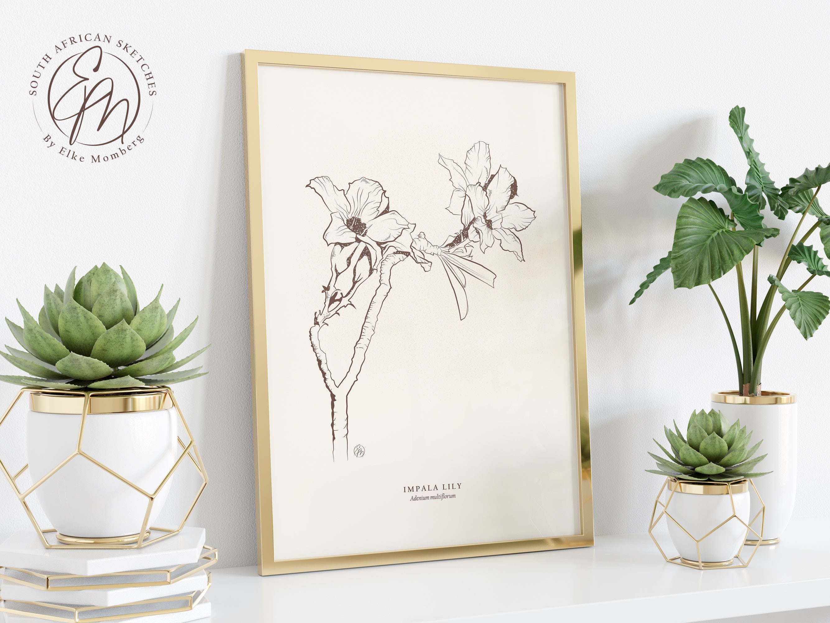 Impala Lily Botanical Wall Art Print, Vintage Style Flower Sketch ...