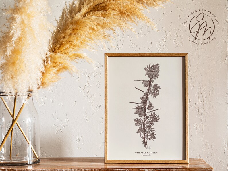 Umbrella Thorn Tree Branch Botanical Wall Art, Vintage Style Digital ...