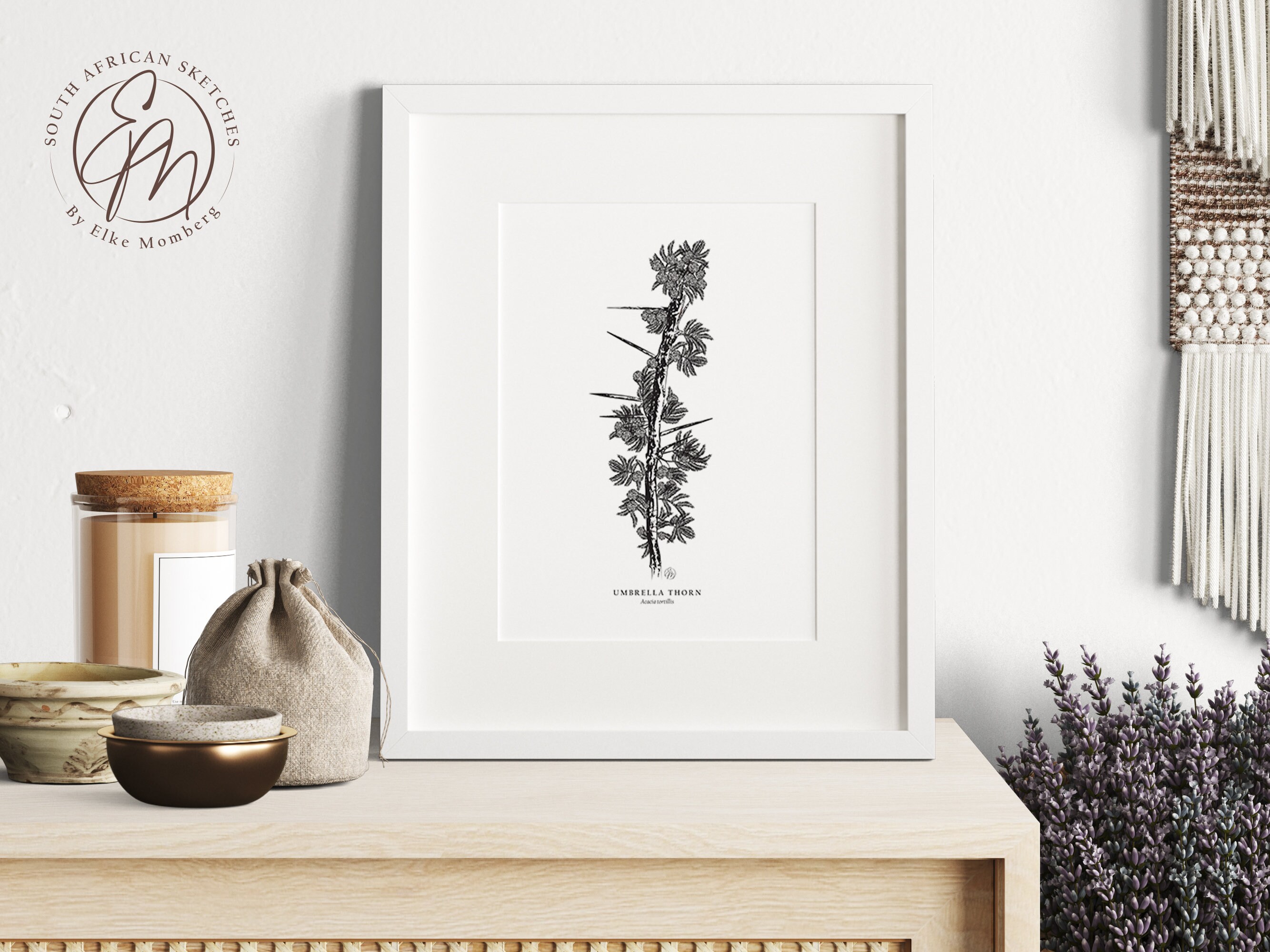 Umbrella Thorn Tree Branch Botanical Wall Art, Modern Black and White ...