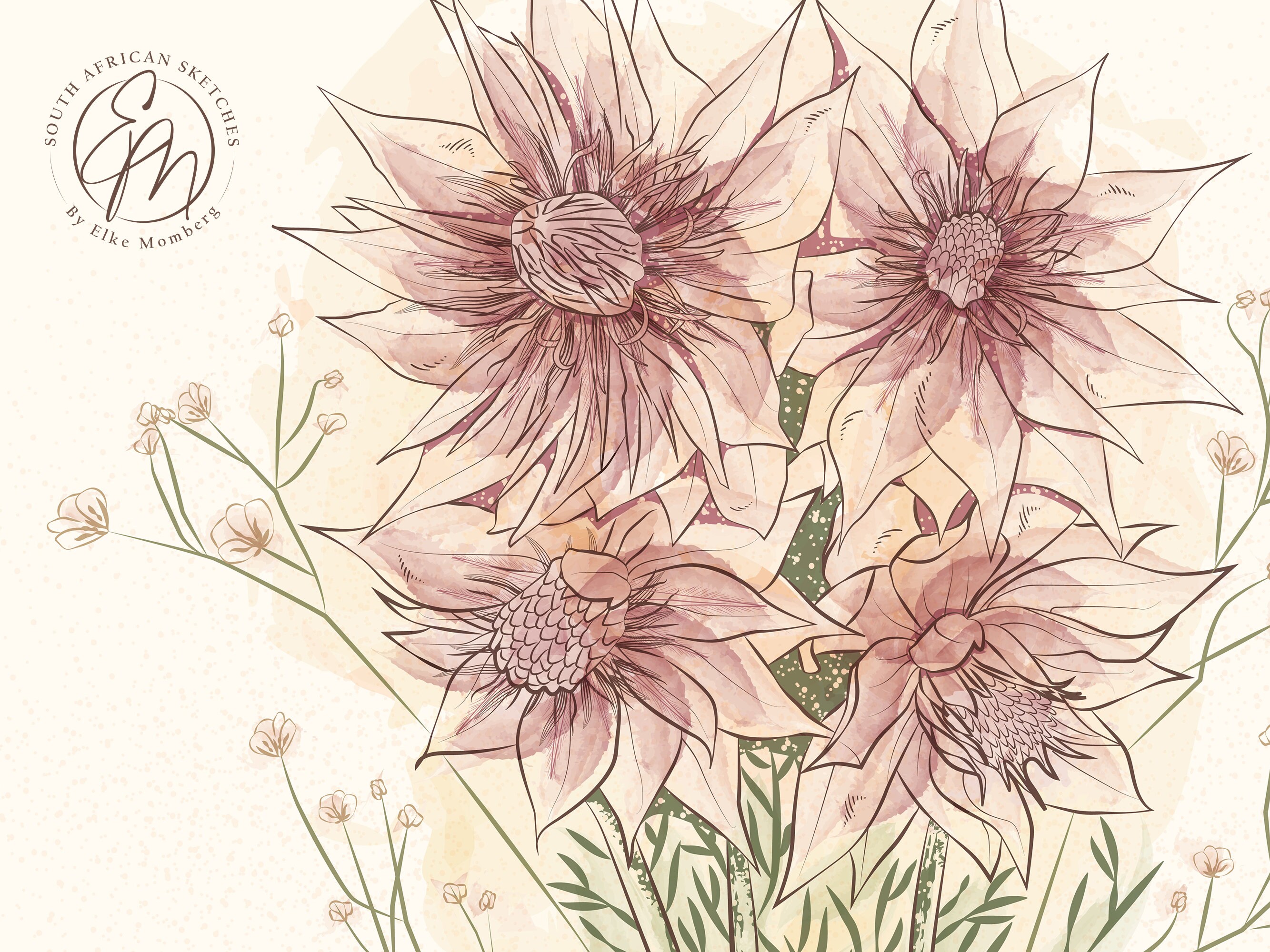 South African Cape Fynbos SET OF 3 Botanical Wall Art, Watercolor Style ...