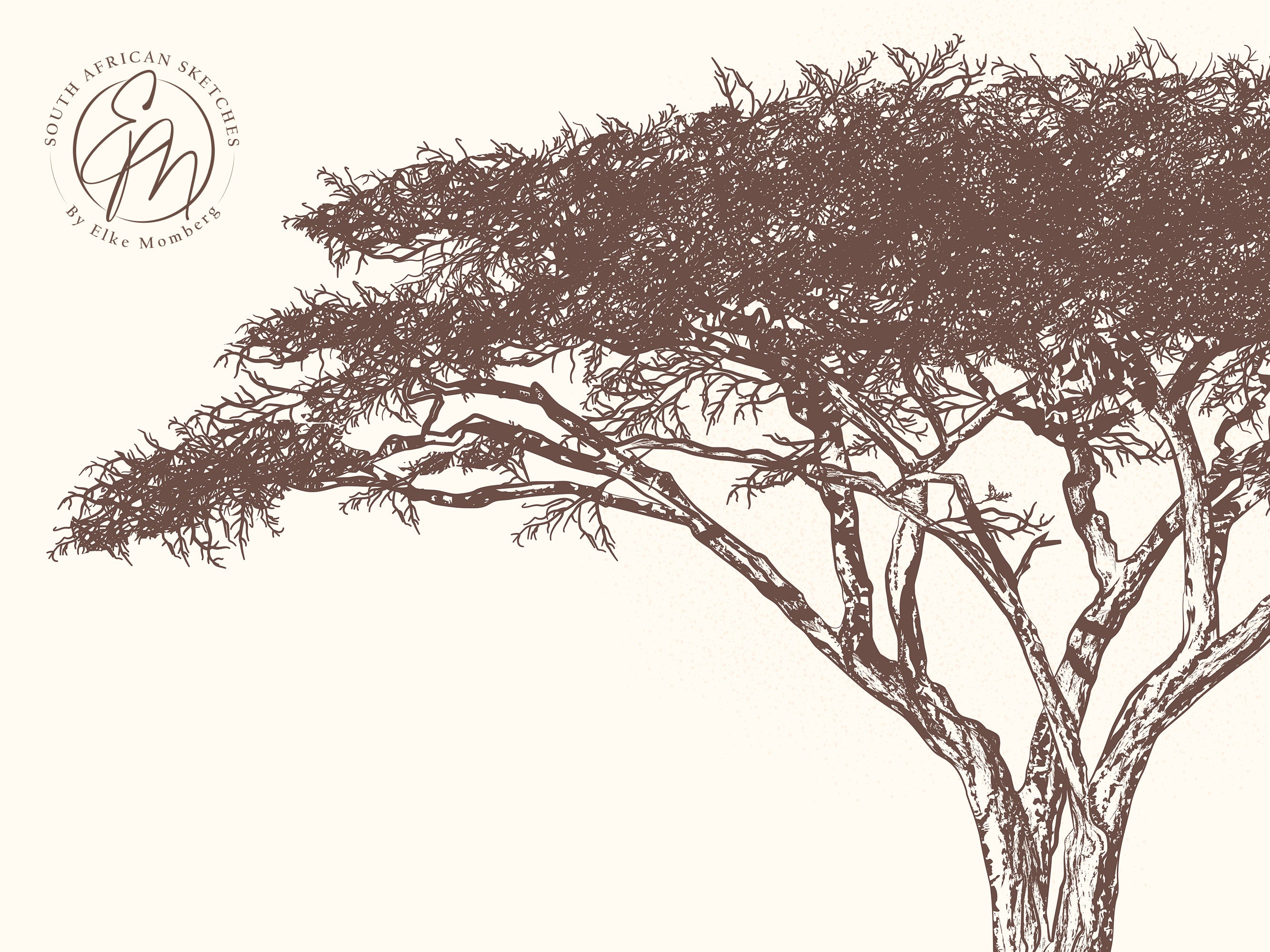 Umbrella Thorn Tree Wall Art Print, Vintage Botanical Sketch Printable ...