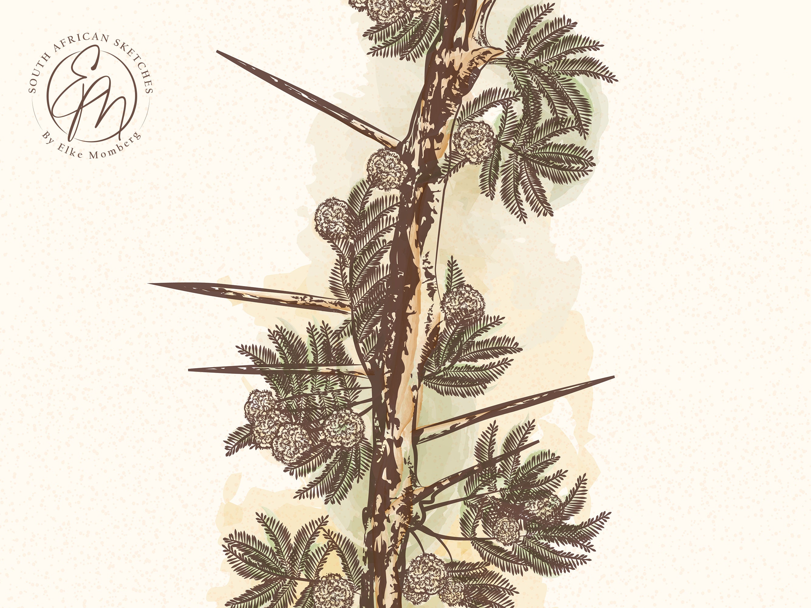 Umbrella Thorn Tree Branch Botanical Wall Art, Watercolor Style Digital ...